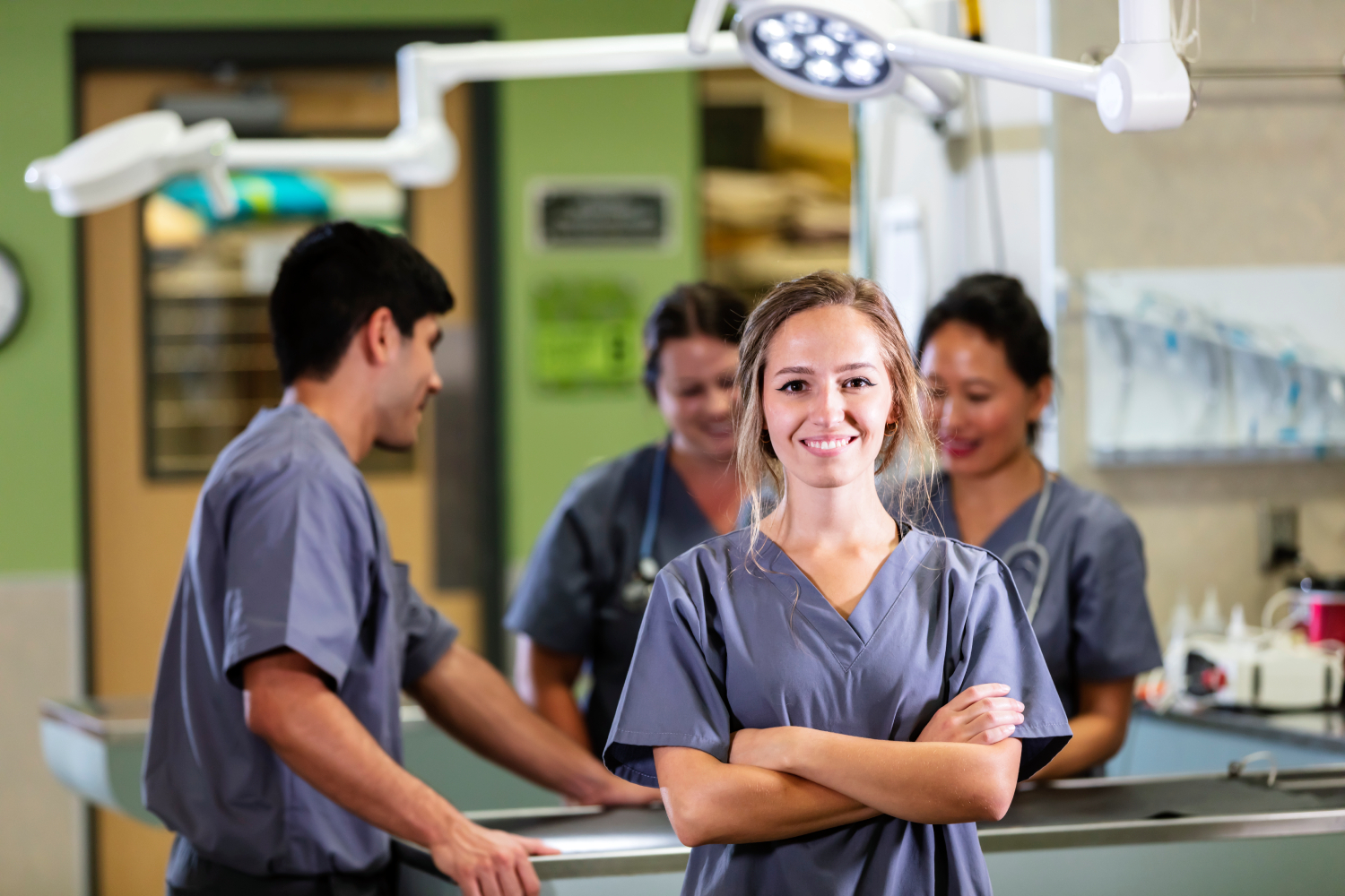 Building wellbeing in veterinary teams – practical steps that work ...