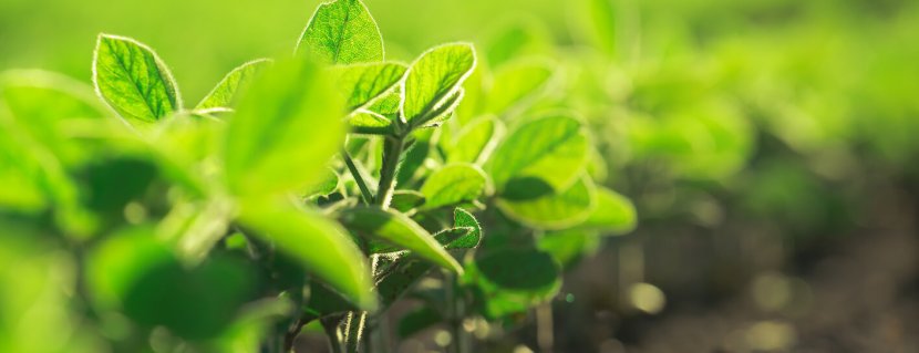 ISO 14001 Environmental Management: a checklist | Citation
